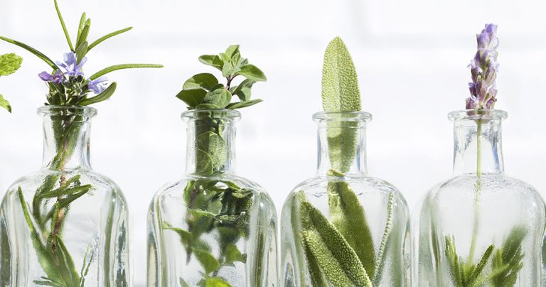 What is botany science, its history, and famous botanists Flowers-cs